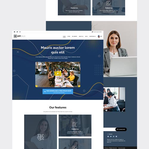 Robust Theme Framework