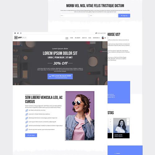 Robust Theme Framework
